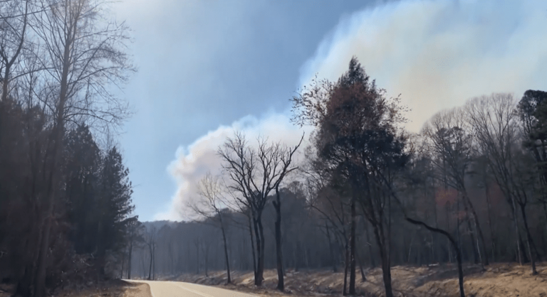 Firefighters make progress on wildfires in Polk Co.