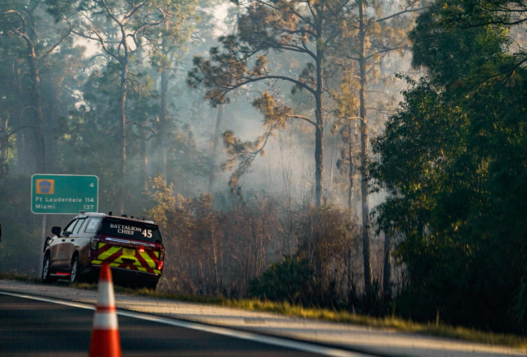 Collier County fire officials are containing 70-acre brush fire. What ...