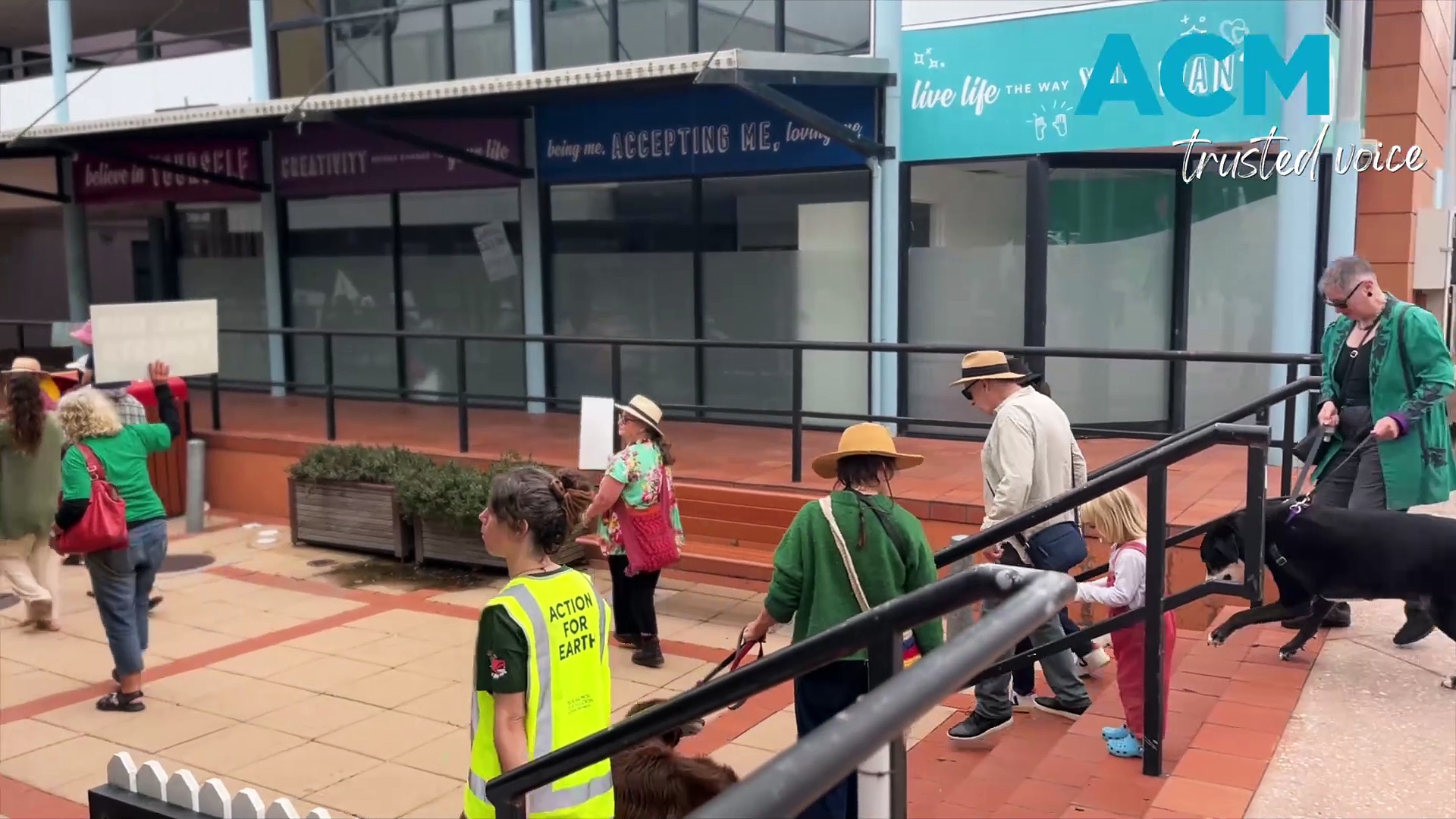 Hundreds rally together in Bega to march against native forest logging