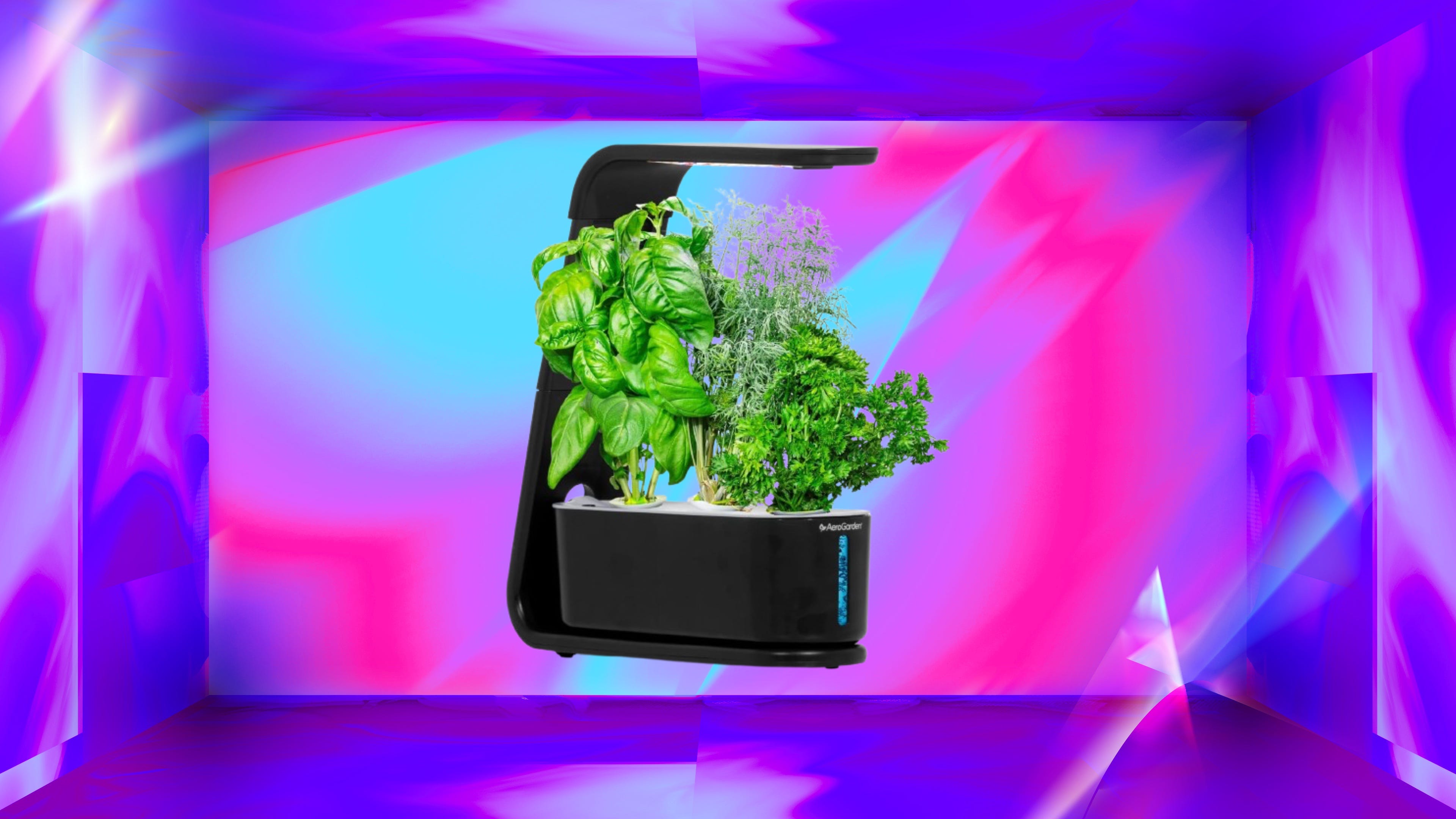 Grow Fresh Herbs at Home With AeroGarden Sprout, Now Just $39 During ...