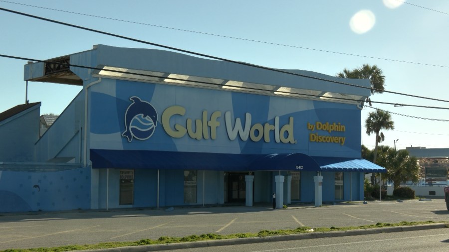 Gulf World Marine Institute rehab center continues operating amid ...