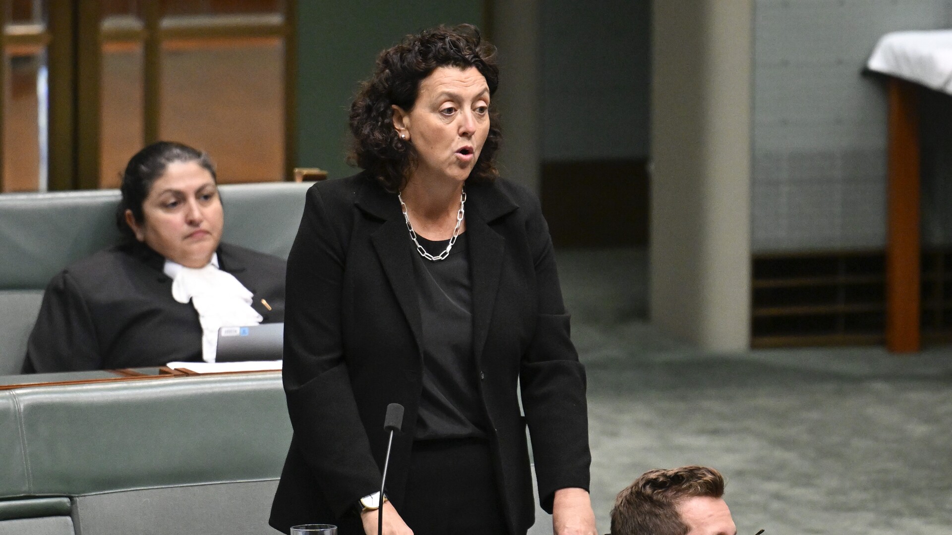 Teal MP Monique Ryan slammed by campaign controversy