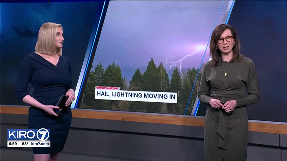 PinPoint Alert: Lightning, small hail with thunderstorms moving through