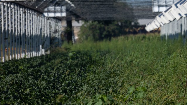 Scientists make surprising discovery that could revolutionize food ...