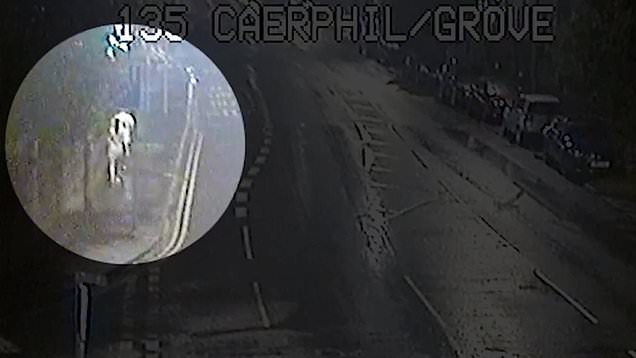 Last known footage of woman before her partner strangled her