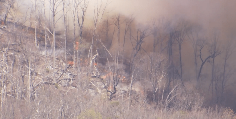 Table Rock Complex fire confirmed largest SC firefighter mobilization ...