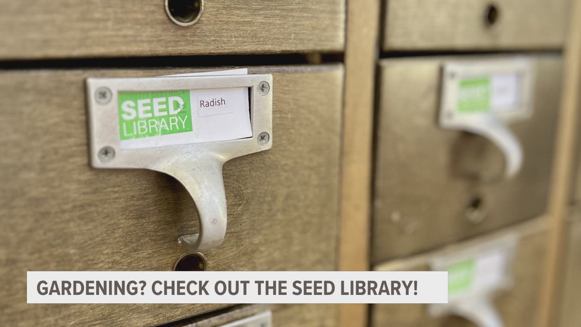 Grand Haven's Loutit Library offers 'Seed Library,' no library card needed