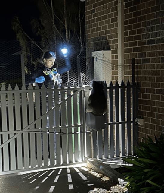 Police respond to Melbourne break-in call to find furry intruder in dog bed