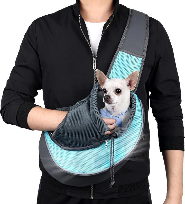 Hiking With a Mini? These Dog Slings Keep It Fun.