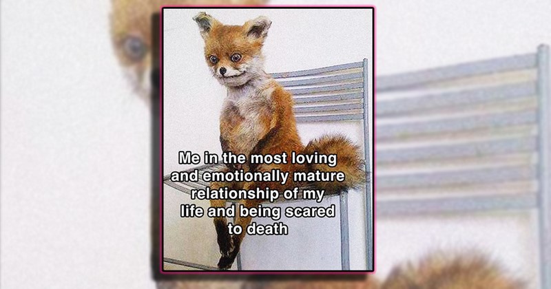 21 Emotionally Mature Memes for Healing Hotties to Send to Their Girl's ...