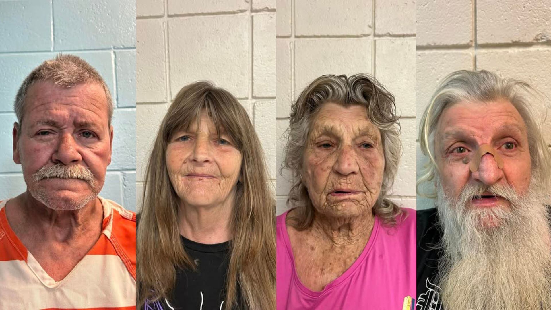 Duplin County drug bust leads to multiple arrests