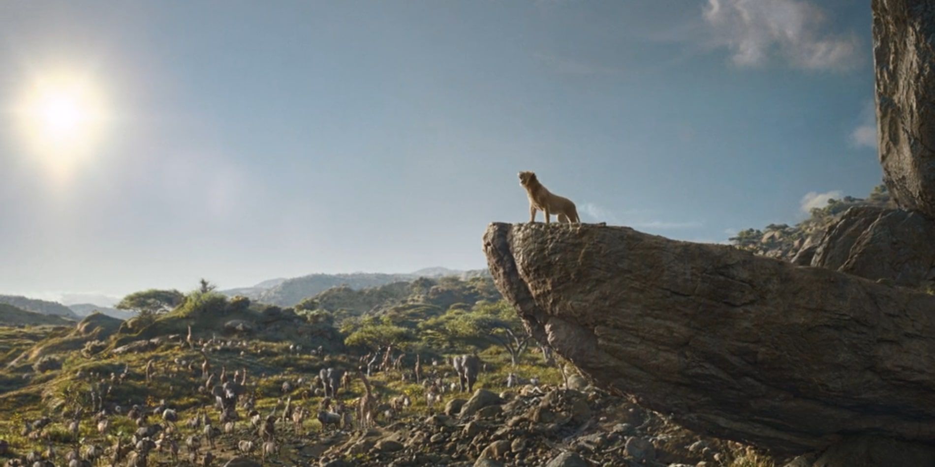 Simba & Nala's Son In Mufasa: The Lion King Is A Big Tease For The ...