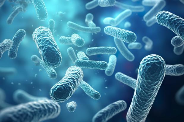 Warning issued about potentially deadly bacteria as UK warms up