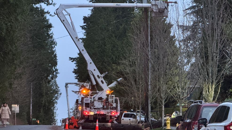 Lightning causes power outages across western Washington, affecting ...