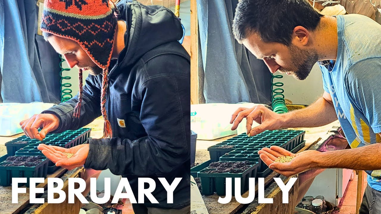 Succession Planting Strategy: How I Grew an $85,000 Garden on 1/3 Acre ...