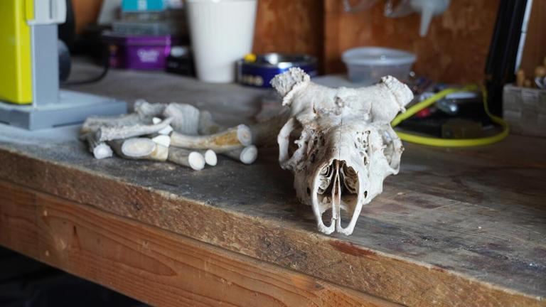 This Inuk carver transformers antlers into makeup brushes — each with ...