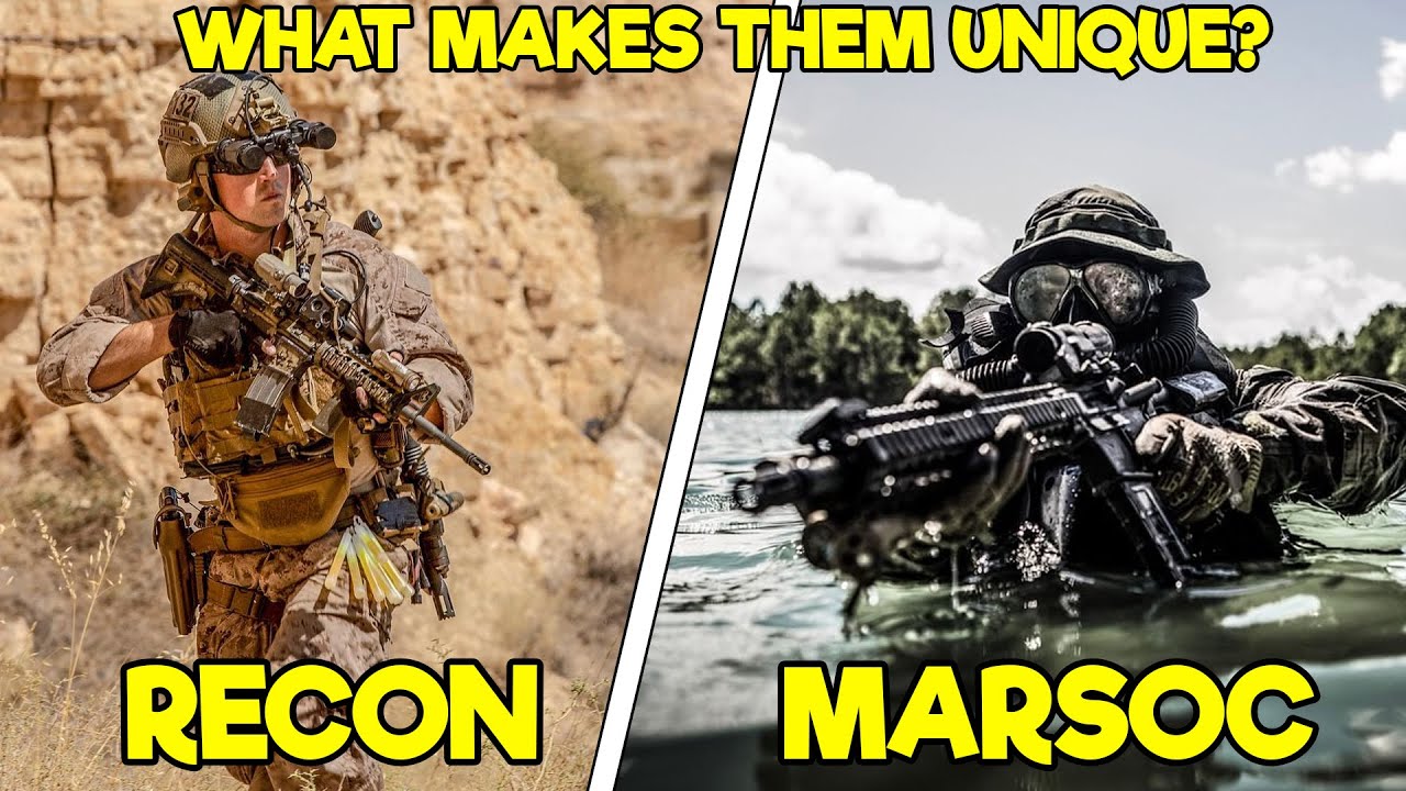 Understanding Marine Recon and MARSOC: Structure, Roles, and How to Join