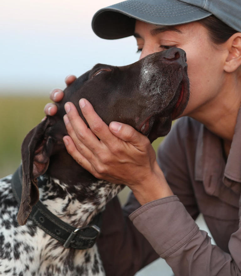 Quand est-ce que les animaux de compagnie sont devenus les meilleurs ...