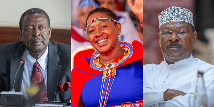 Sabina Chege Shocked That Mud Houses Still Exist in Mudavadi ...