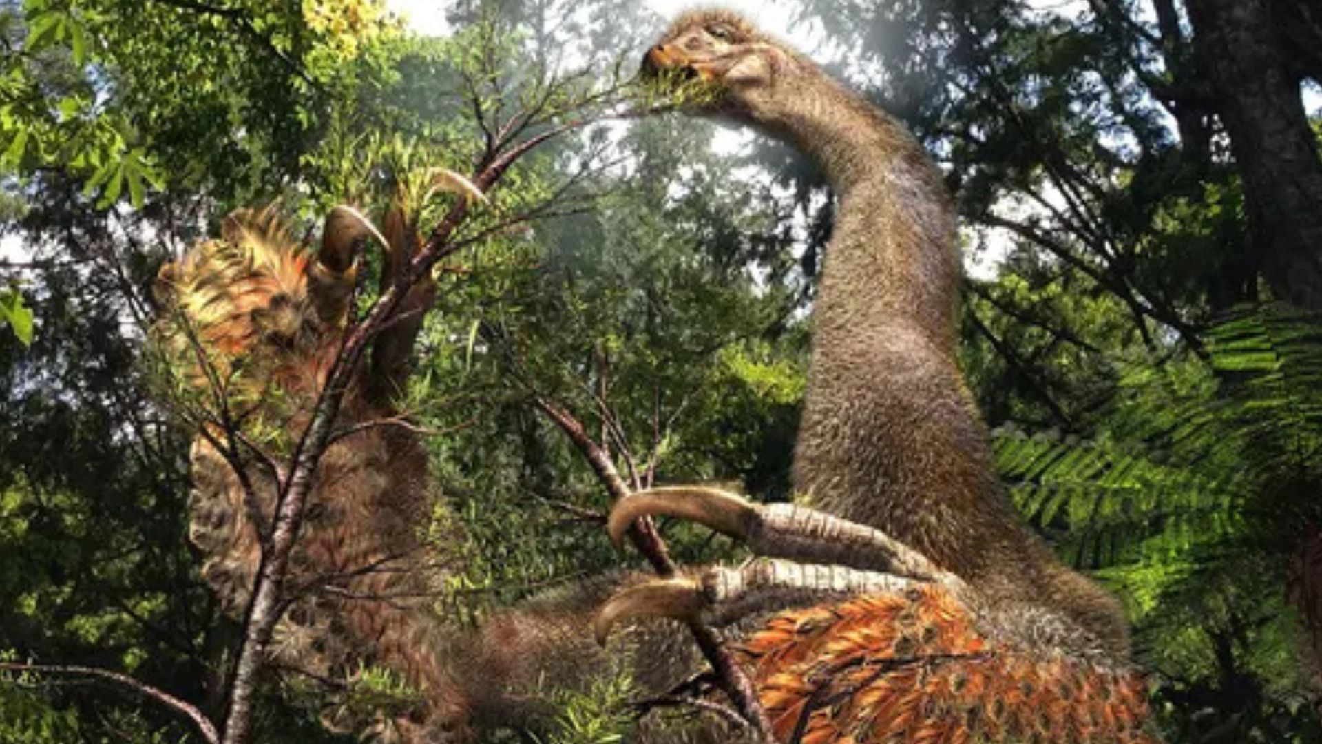 Bizarre sloth-like two-clawed dinosaur discovery in Mongolia shocks ...