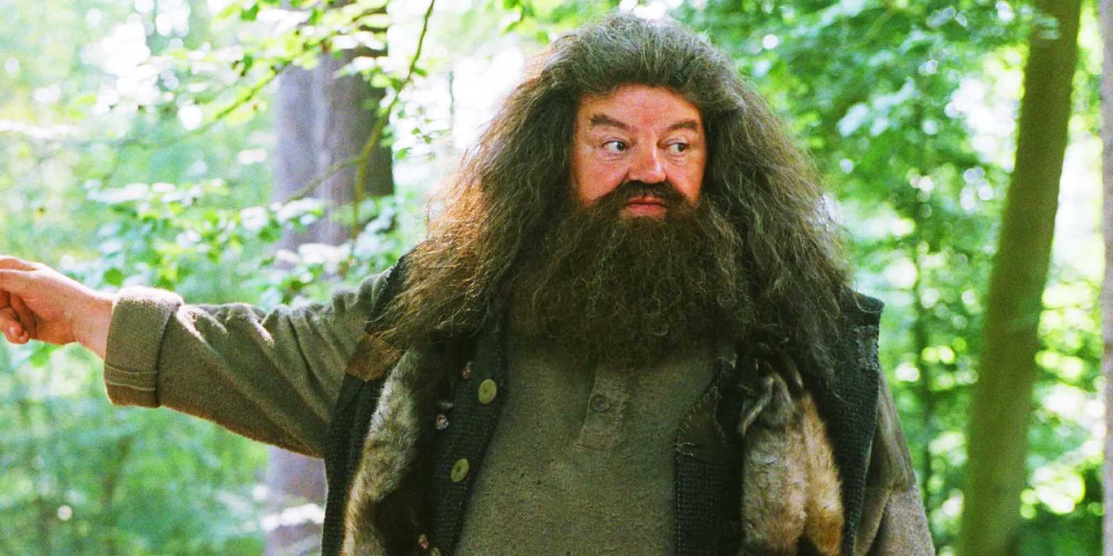 Harry Potter's New Hagrid Response Is A Perfect Example Of The HBO ...