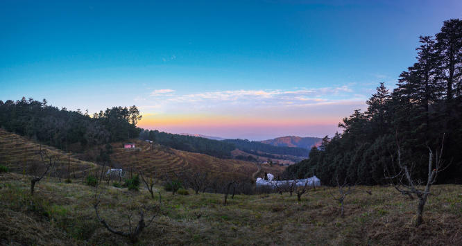 Ranikhet Unplugged: 12 Amazing Things to Do in This Himalayan Paradise