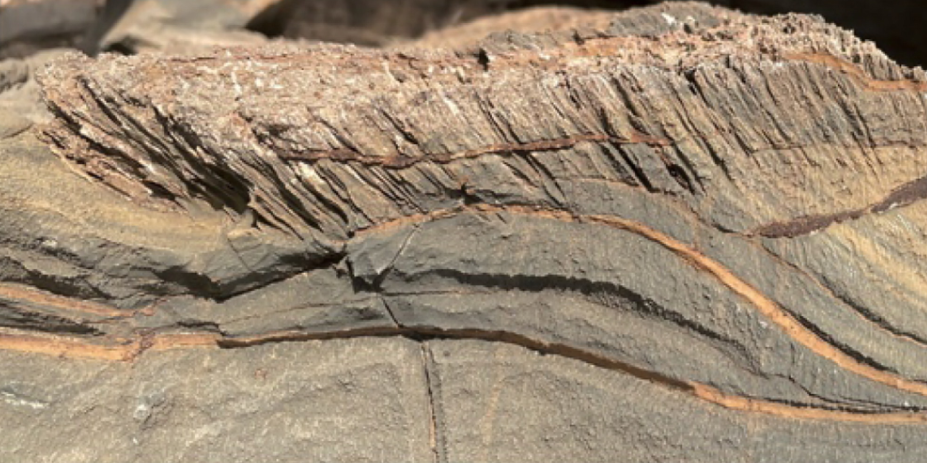 Scientists discover unknown lifeform they are unable to explain