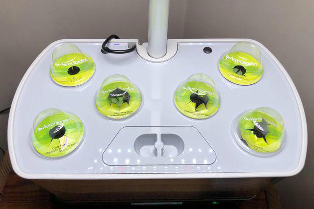 PSA: Amazon Just Dropped Prices on These 23 Real Simple Editor-Loved ...