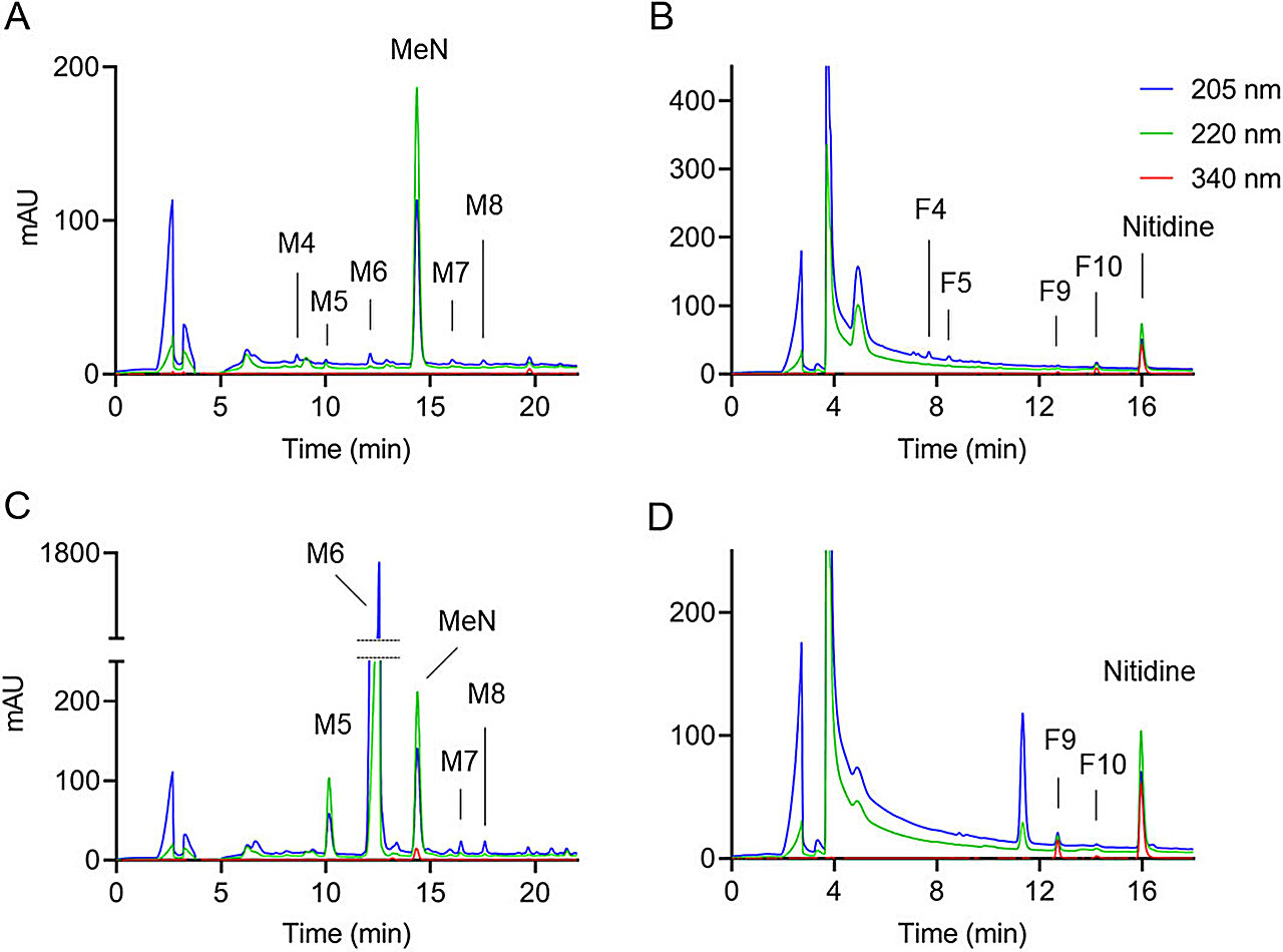 Study uncovers significant differences in a dietary supplement's key ...