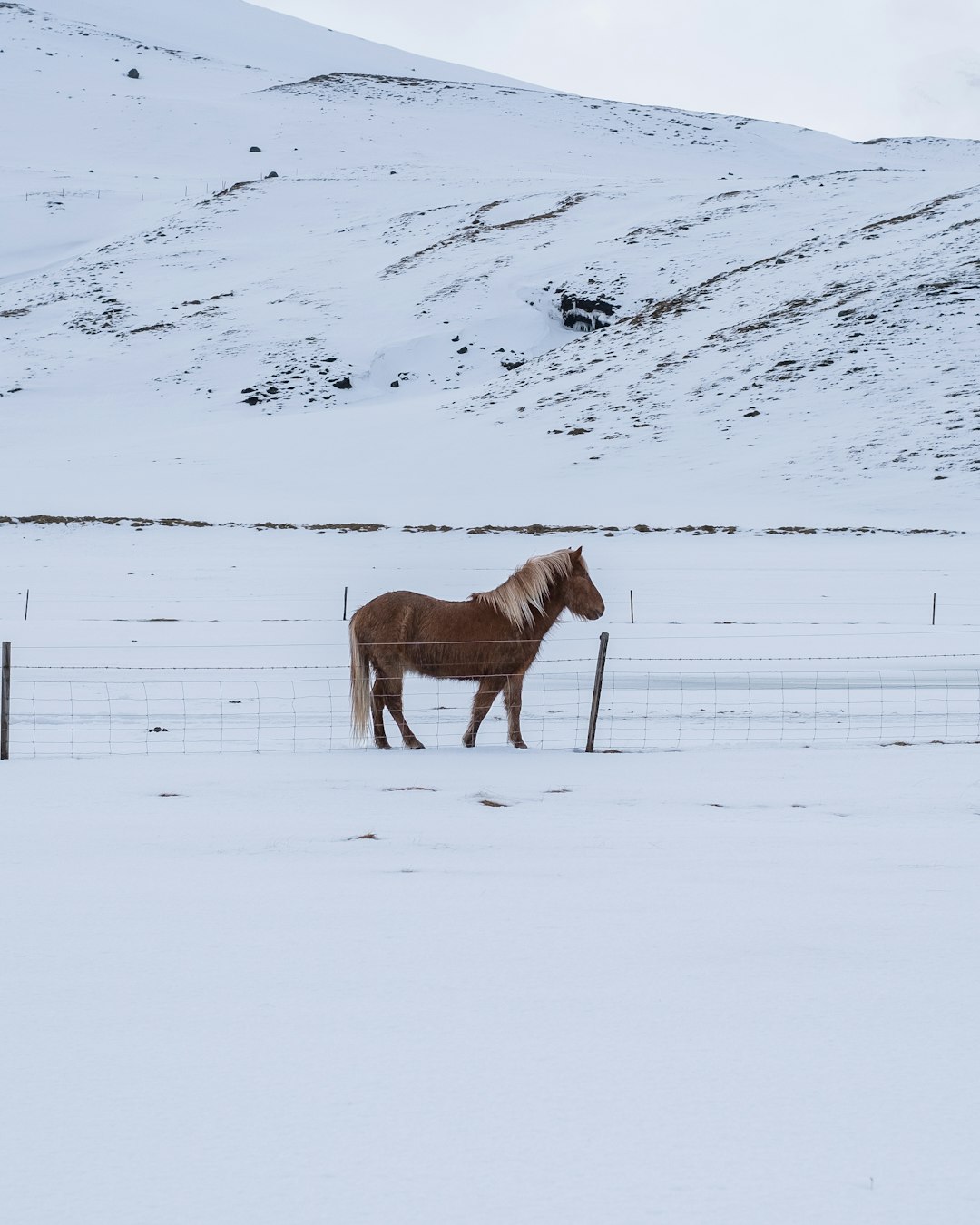 The Most Shocking Food Scandals Ever