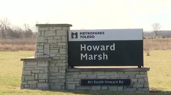 Metroparks Meetup: Birder’s Paradise at Howard Marsh