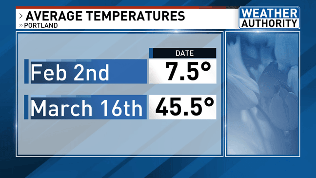 Results are in: Was Punxsutawney Phil's prediction correct?