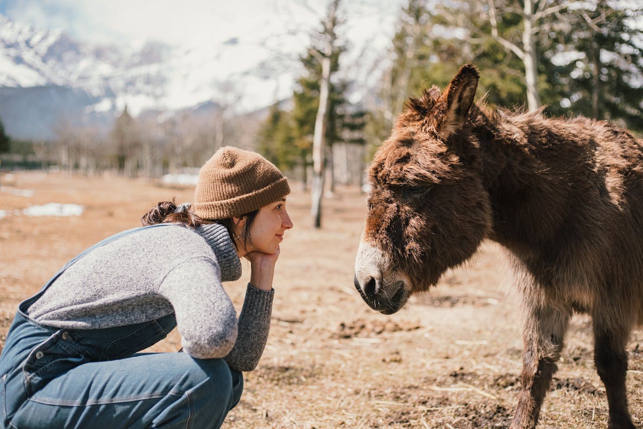 7 Reasons Why Donkeys Make Surprisingly Good Emotional Support Animals
