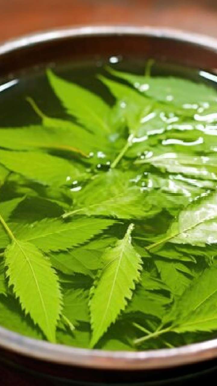 DIY Neem Leaves Hair Spray To Reduce Dandruff In Summer Season