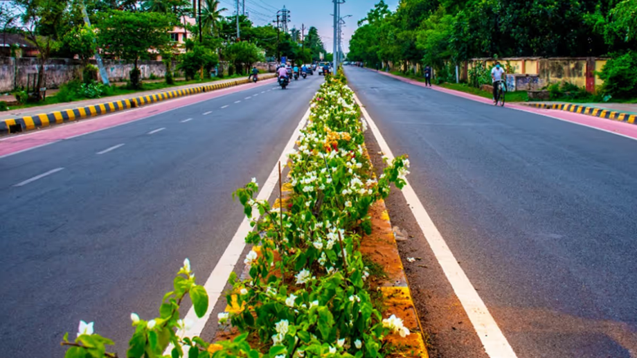 Why are plants planted on dividers between roads? You may not know the ...