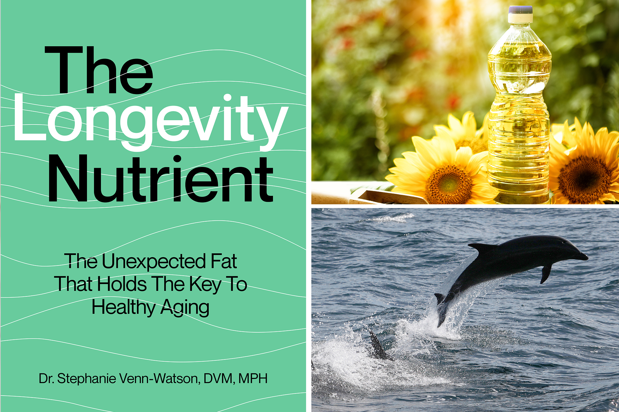 This newly discovered nutrient may help you live longer — here’s where ...