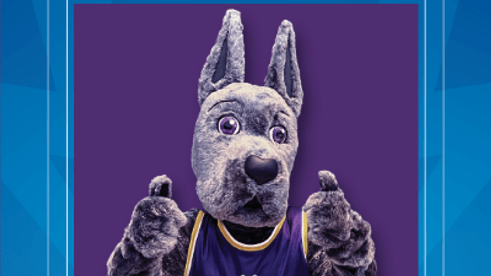 Damien the Great Dane paws his way into SUNY's Mascot Madness Final Four