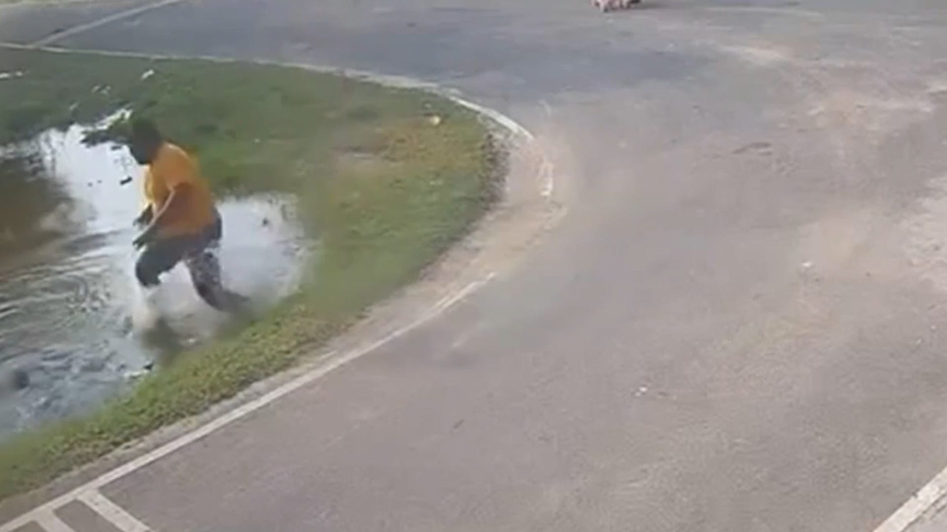 Watch this hero save a toddler in danger of drowning