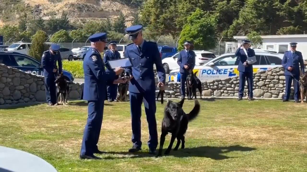 New Zealand's newest police dog trainees commissioned at graduation ...