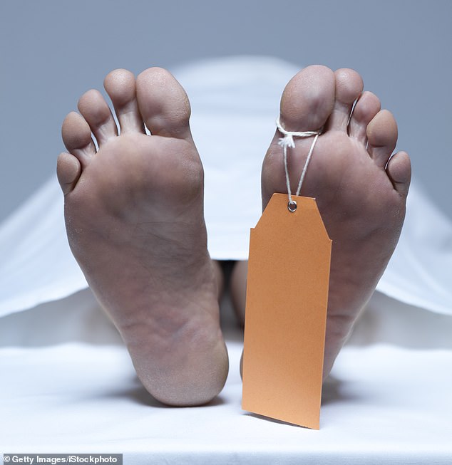 Scientists want to grow 'spare' human BODIES