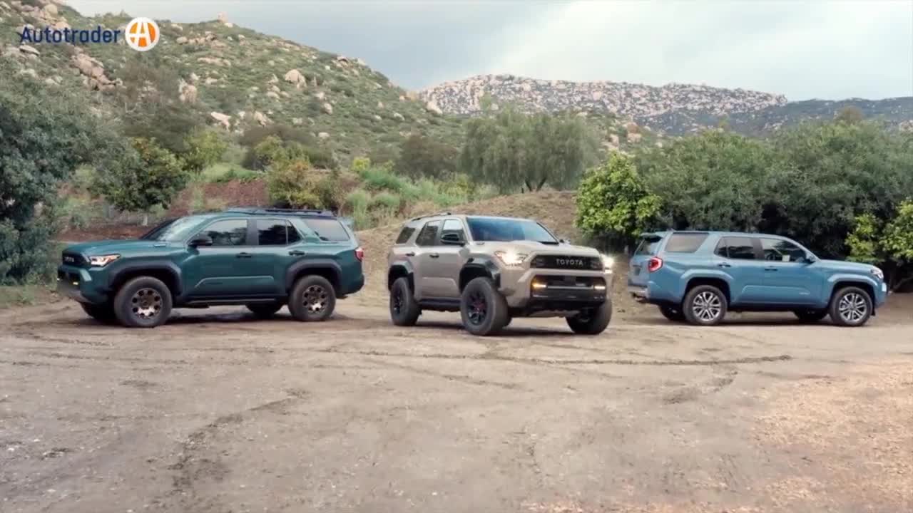 Limor Suss | Morning Blend