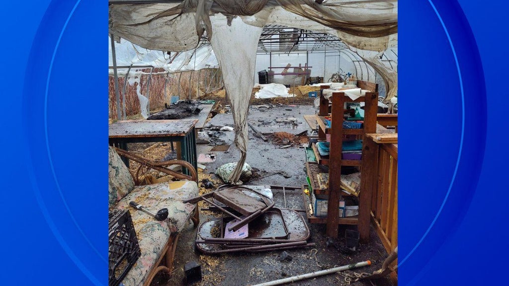 Detroit flower farm makes plans for season after fire ruined thousands ...