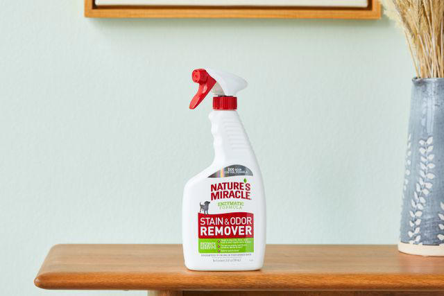 PSA: Amazon Just Dropped Prices on These 23 Real Simple Editor-Loved ...