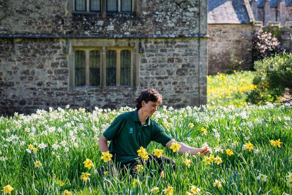 Britain experiences a spring awakening as temperatures soar to 18C in ...
