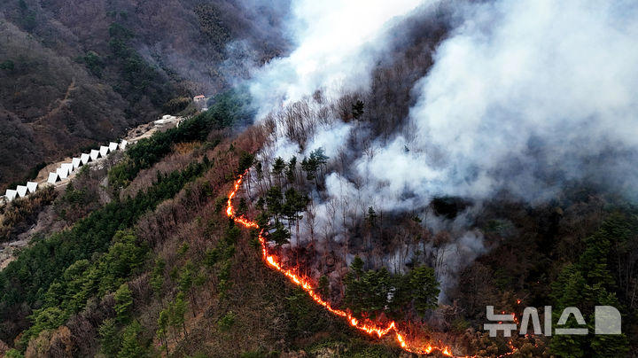 샴푸·생수·텀블러·베개…산불피해 지역에 쏟아지는 기부