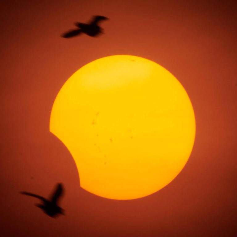 Norden oder Süden?: Wo man in Deutschland die Sonnenfinsternis am besten beobachten kann