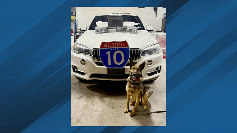 Seguin police and K9 uncover $560,480 worth of cocaine during traffic stop