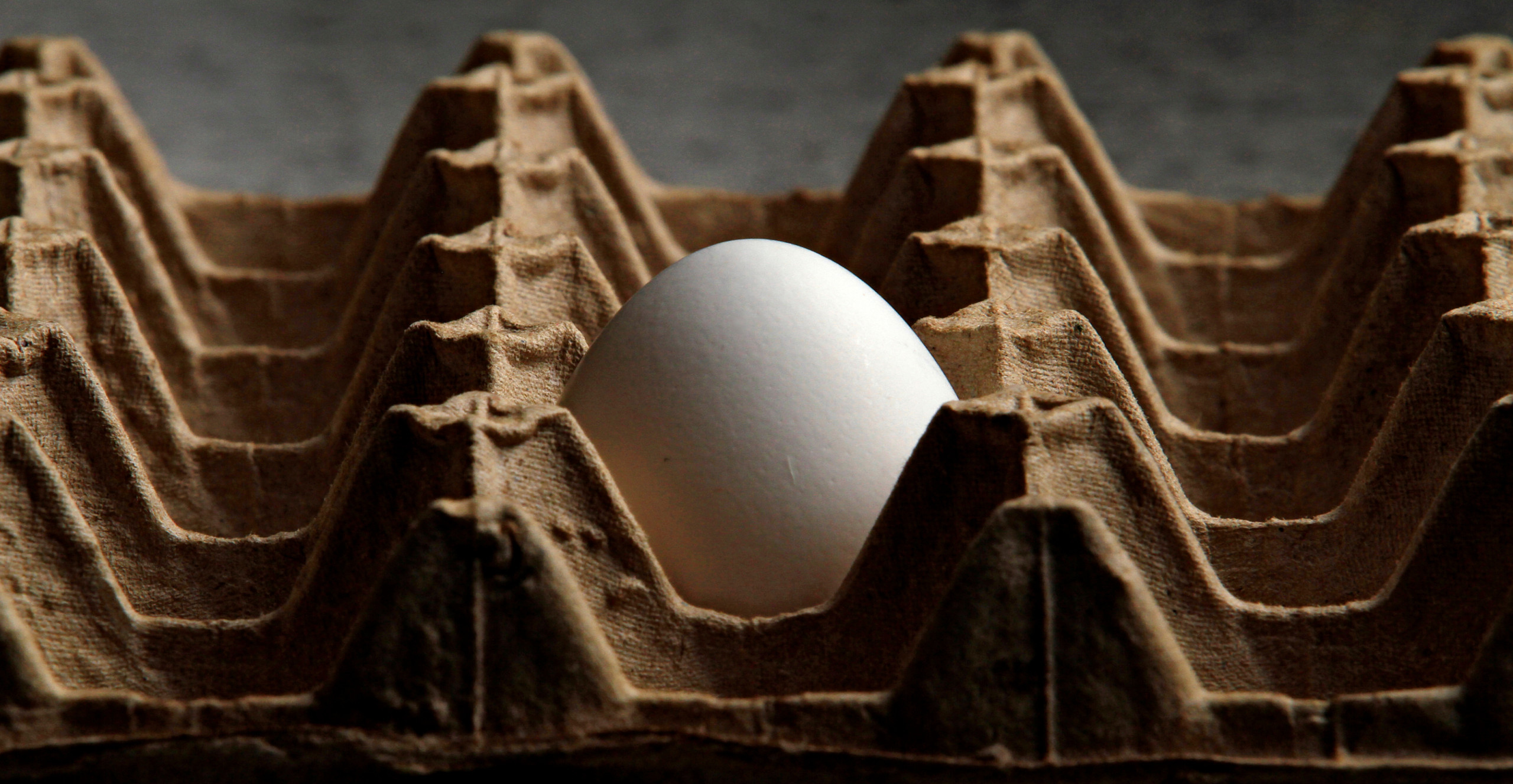 What you need to know about the egg shortage in America