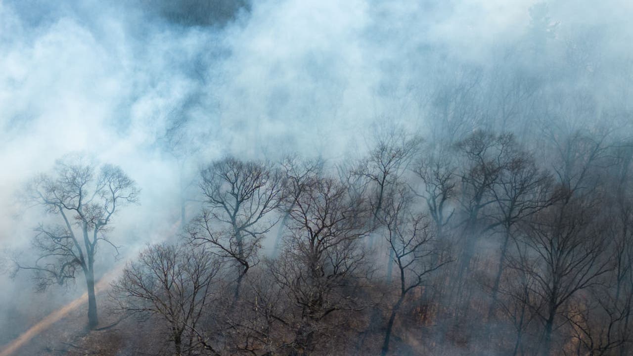 Brevard County prescribed burn taking place today: What is the purpose ...