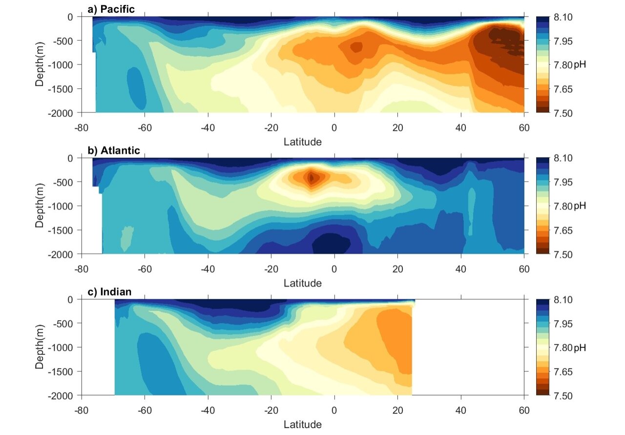 Researchers create global 3D dataset of seawater pH using stepwise FFNN algorithm